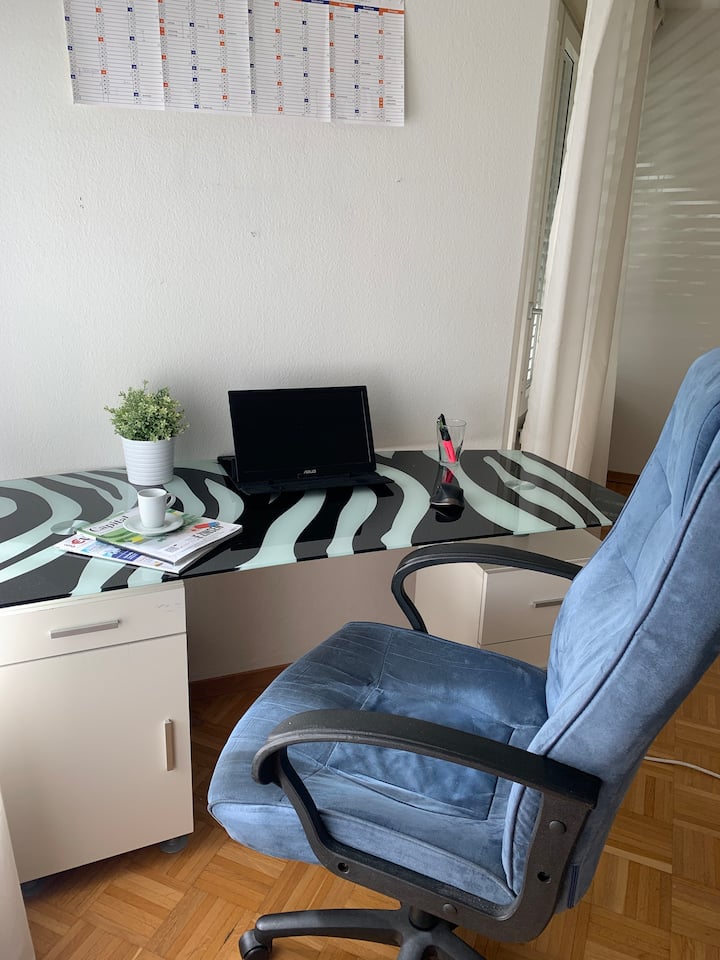 Beautiful Apartment With 2 Balconies - Zúrich