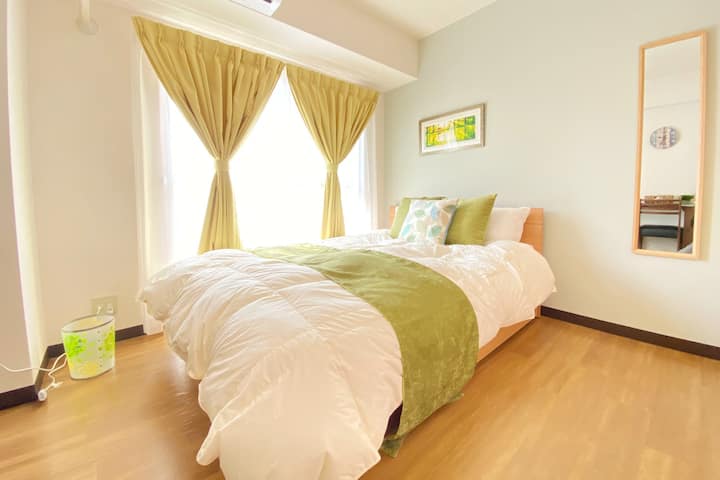 戎203/a0715/no Transfer To Kix/15 Min Dotonbori - Osaka