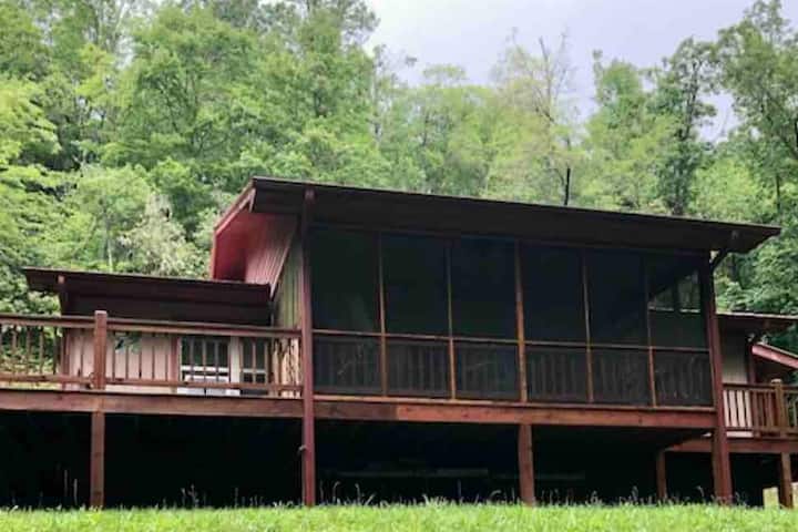 Bear Paw Cabin - Dillard, GA