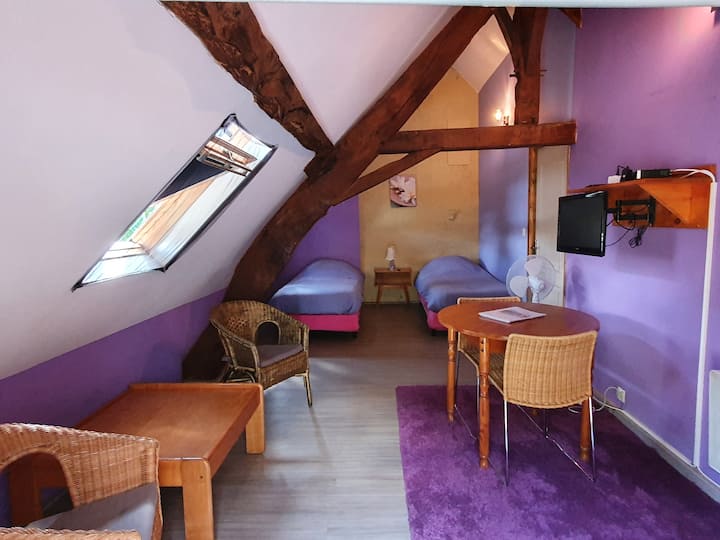 Mooie Ruime Kamer, Natuurlijke Rustige Omgeving. - Bourbon-l'Archambault