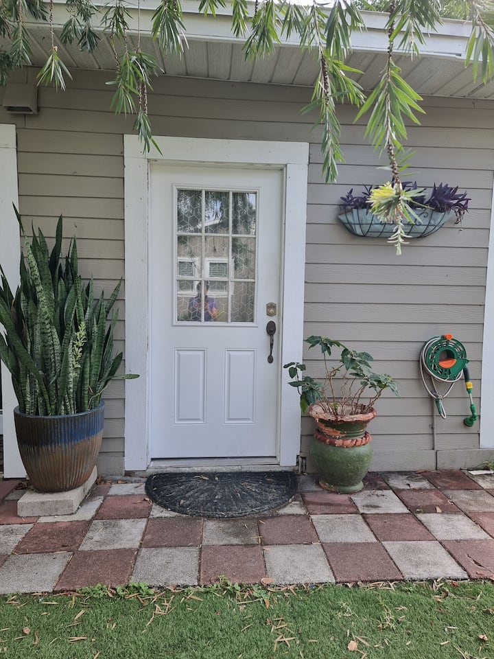 Mr. Daniel The Cat Studio - Orlando