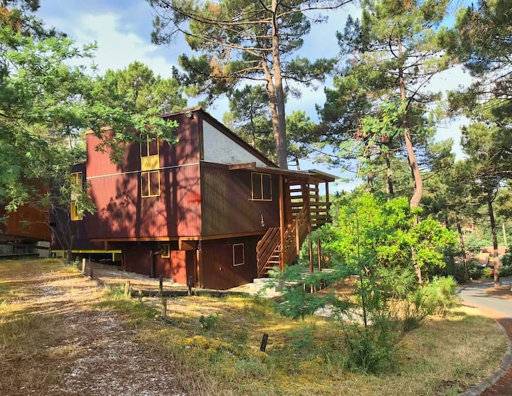 Chalet Pomme De Pin - Carcans
