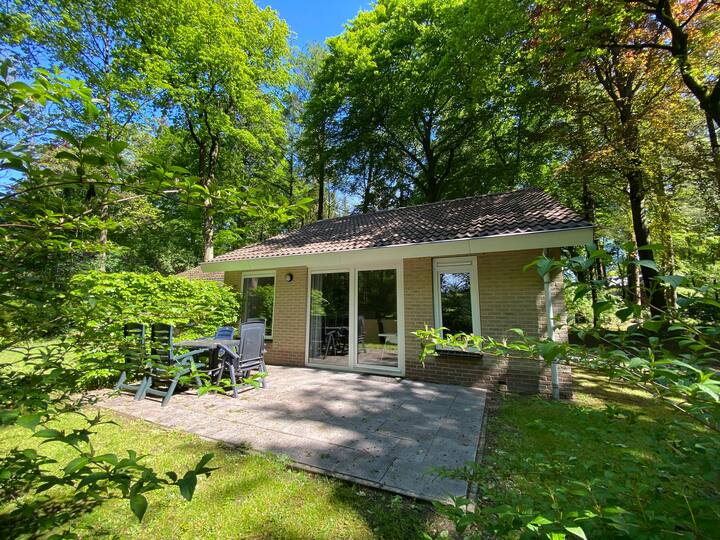 Vakantiewoning Op Kleinschalig Park (C15) - Netherlands