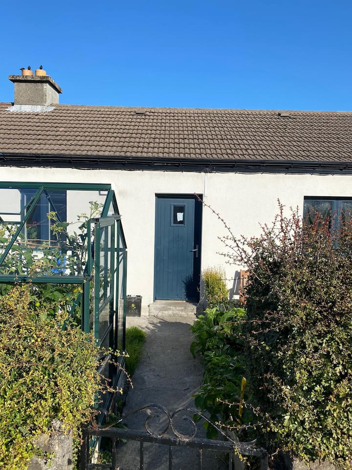 Bright Open Plan Living Space & Unique City Garden - Galway