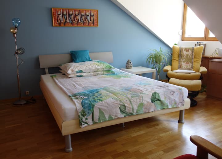 Geräumiges Einzelzimmer Im 3. Bezirk - Viena