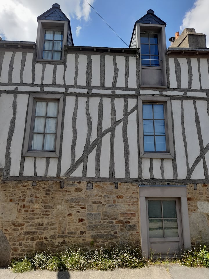 Charmante Maison De 120 M2, Centre Ville De Vannes - Vannes
