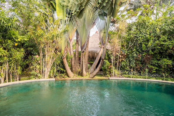 Bajo At Rumah Semanggi - Two-storey Bungalow - Ubud