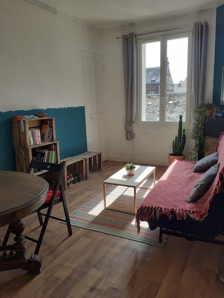 Appartement T3 Calme Sur Cour à Rouen - Bois-Guillaume