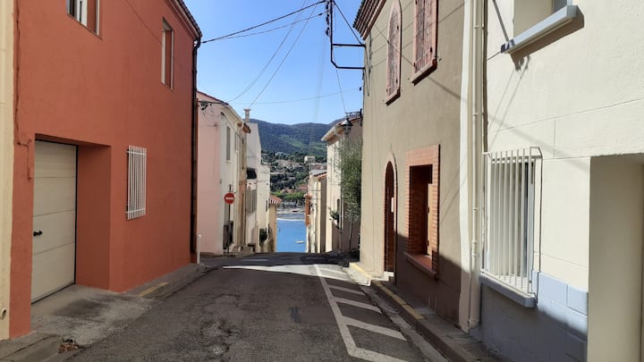 Cap D'osne à 2 Mn De La Mer - Banyuls-sur-Mer