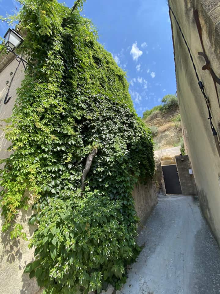 Maison De Village Dans Le Sud Luberon - Cucuron
