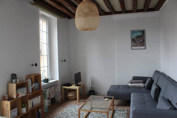 Appartement F2 Au Centre De Caen, Proche Chateau - Ifs