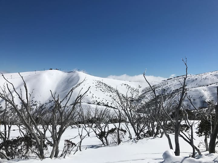 12 Person 4 Bedroom Apt Mount Hotham. - Mount Hotham
