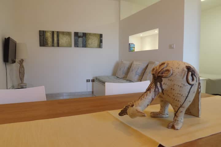 Giardino Degli Agrumi | Bergamotto | Alghero - Sardaigne