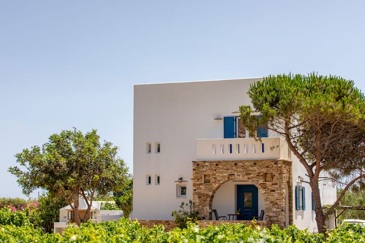 Oneiric Harmony - Naxos