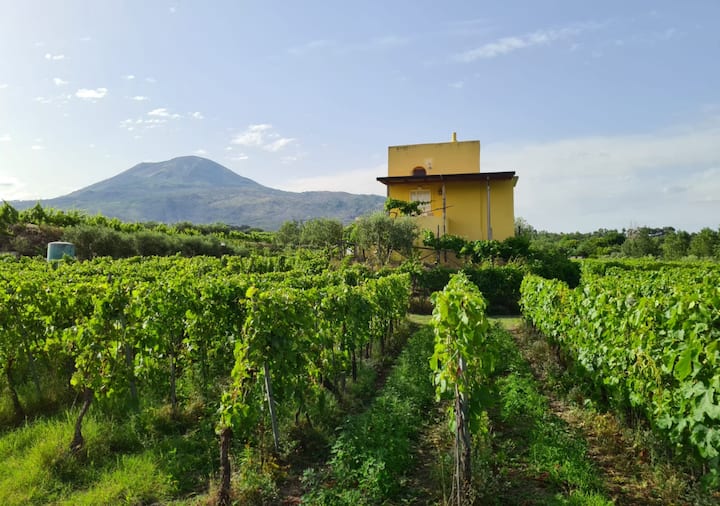 Vesuvioinn-locanda Dei Nobili - Campania