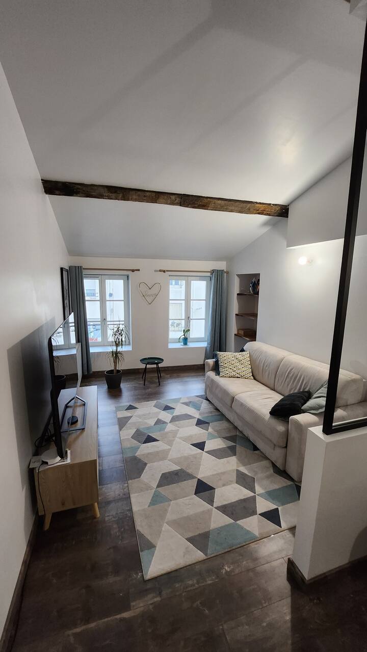 Charmant Appartement Au Cœur De Ville De Toul - Toul