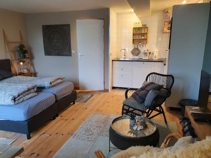 Dichtbij Zee Suite 1 - Texel