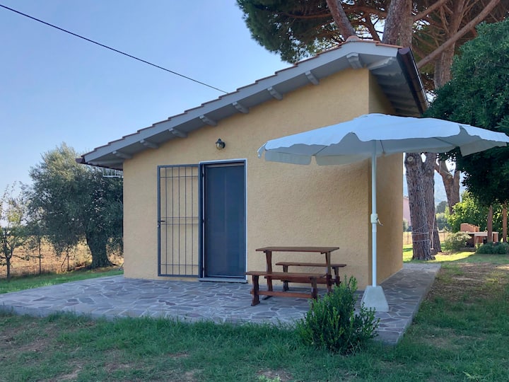 Mini House Baldana - Castiglione della Pescaia