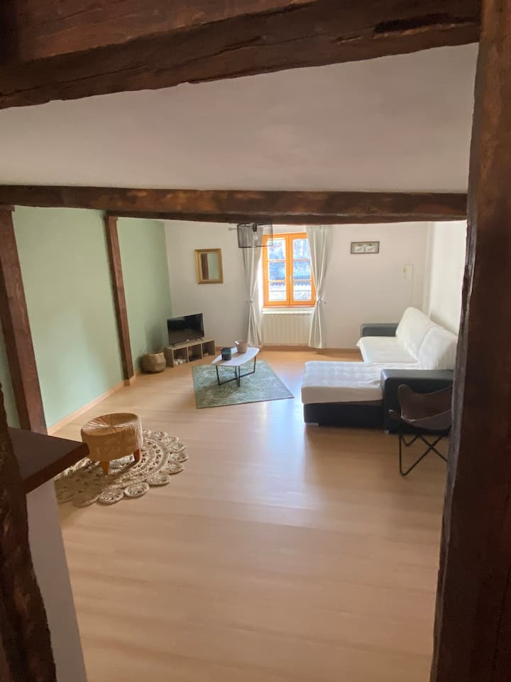 Appartement - Climatisé - Hyper Centre - Lautrec - Graulhet