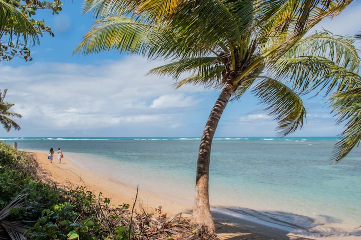 Beachside Apt.1 Luquillo Pr Steps To Crystal Water - Luquillo