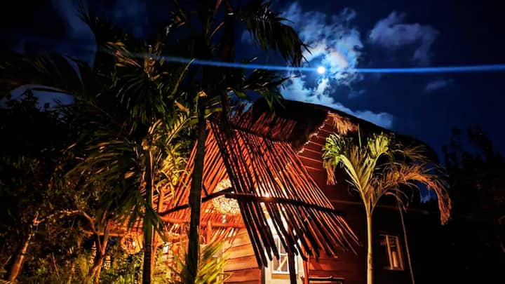 Tree-house 3 Min Walk To Beach/ac/wifi/king Bed - Isla Holbox