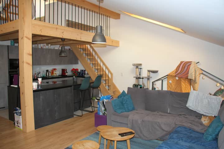 Chambre Privatisé - Martigny