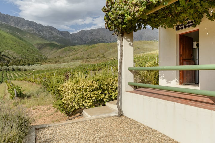 Ruby Cabernet - Vredehoek Guest Farm - Wolseley