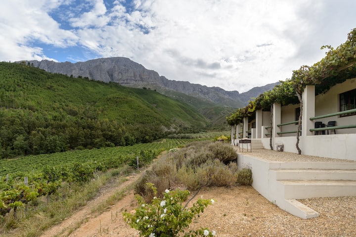 Sauvignon Blanc - Vredehoek Guest Farm - Wolseley