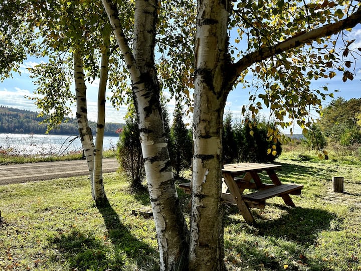 Terrain Privé Camping Vr-roulotte Au Bord De L'eau - Saguenay