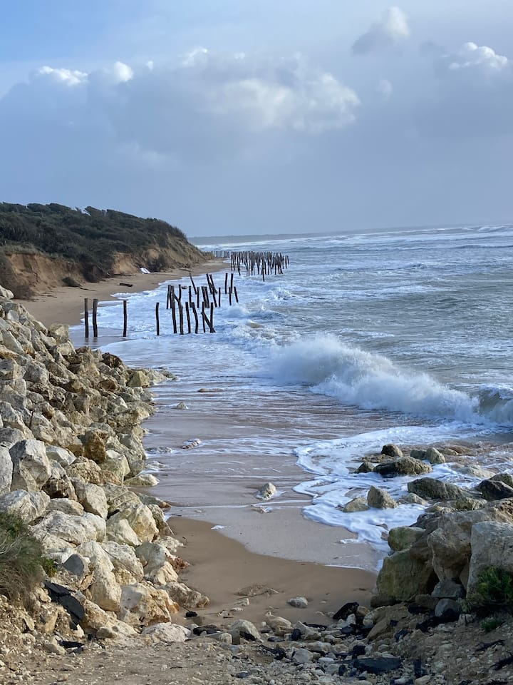 Maison Familiale, Entre Mer Et Forêt " Vert Bois " - Île d'Oléron