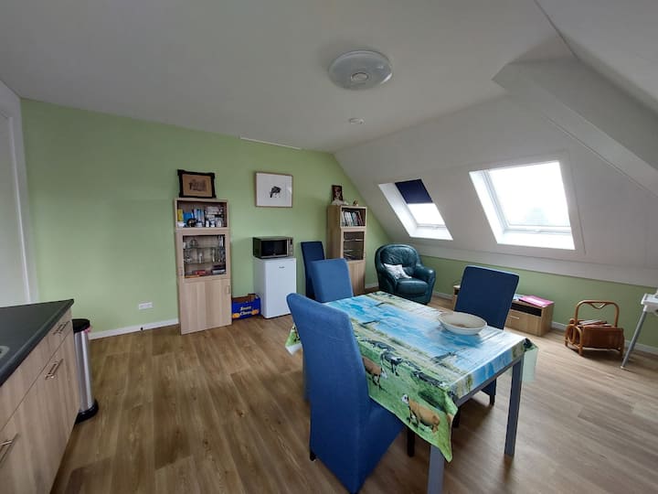 Kamer 2 In Landelijk Gelegen Boerderijwoning - Callantsoog