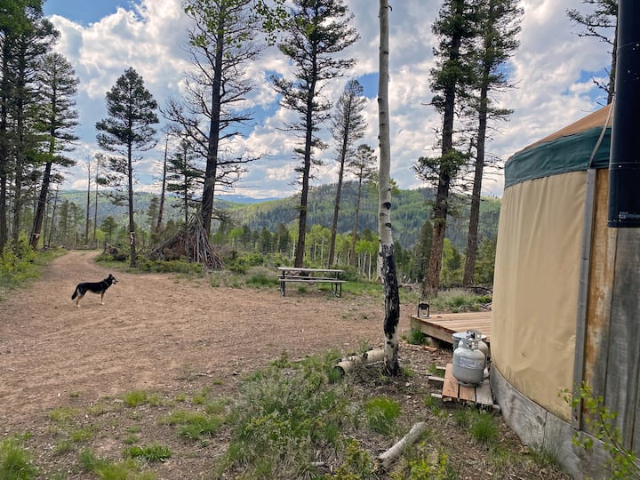 Top 6 Yurts In Red River, New Mexico | Trip101