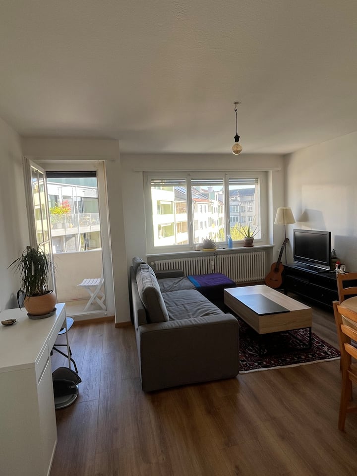 Charming Flat With Sunny Balcony - Basel