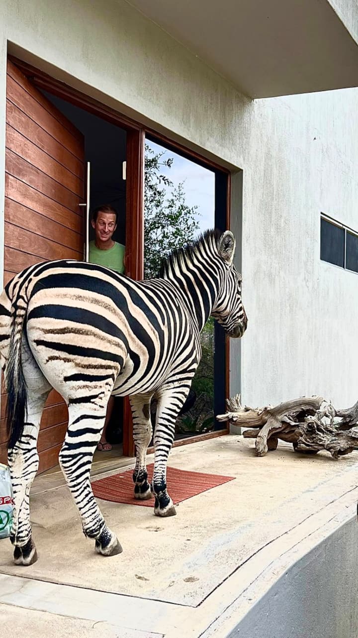 Marloth Park Vacation Rentals | Airbnb