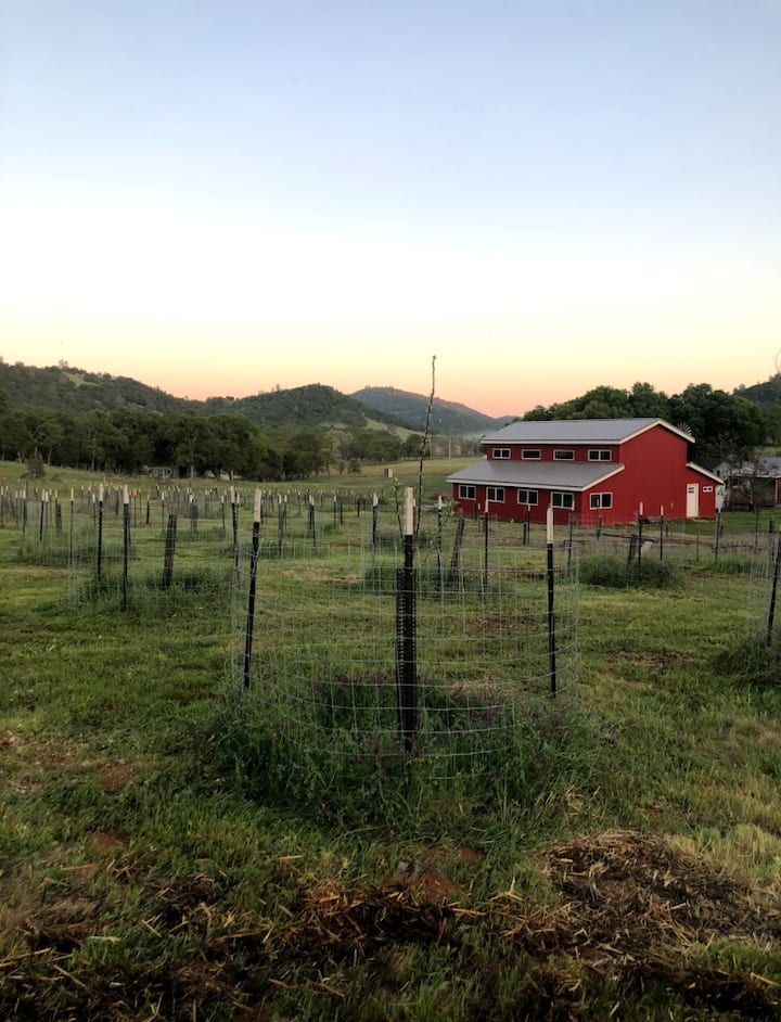 Farms | One of over 50 Airbnb Categories