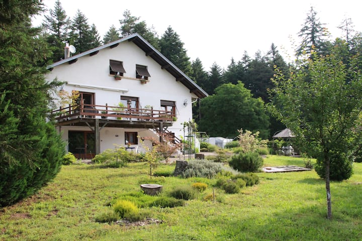 Gîte De 4 Personnes, En Pleine Fôret ! - Fraispertuis City