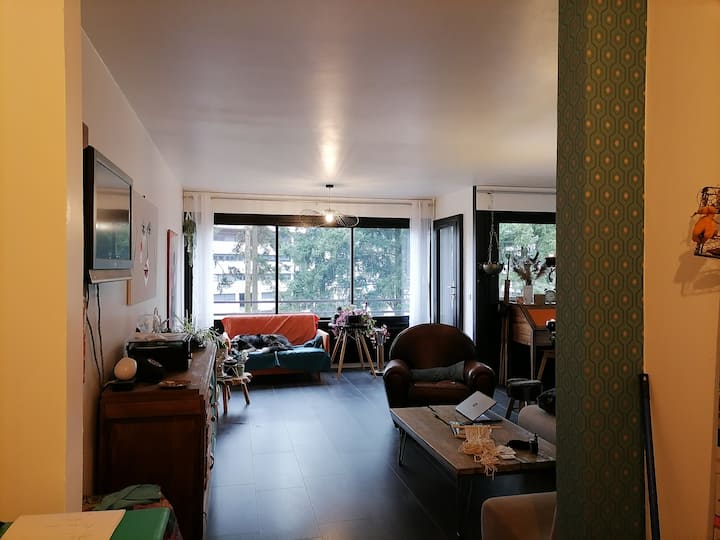 Chambre Privée Dans Appartement Sympa - Sallanches