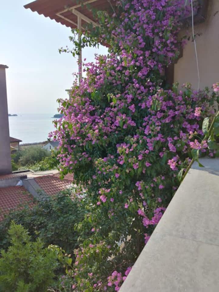 Love This Bougainville 2 - Rovinj