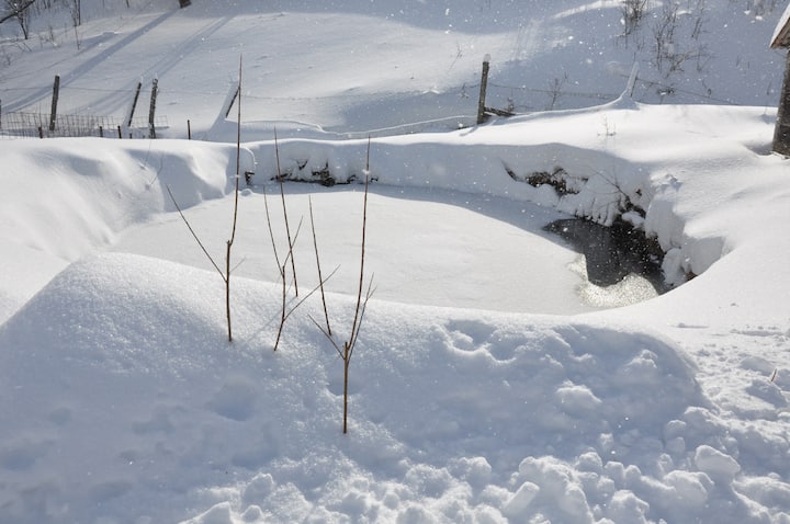 Celý Dvor Pod Kríkmi Len Pre Vás! - Káposztafalva