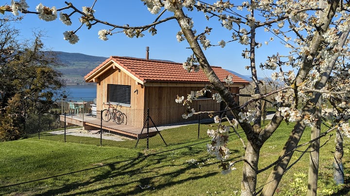 Hyttami 5-plein De Charme-vue Sur Le Lac-yverdon. - Yvonand