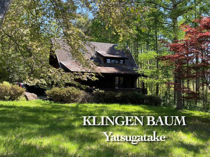 Starry Log Cabin Bbq 9 Guests. Pet Acc. Yamanashi - 山梨県