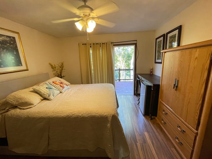 Private Bedroom, Private Entrance, Private Bath - Springfield, MO