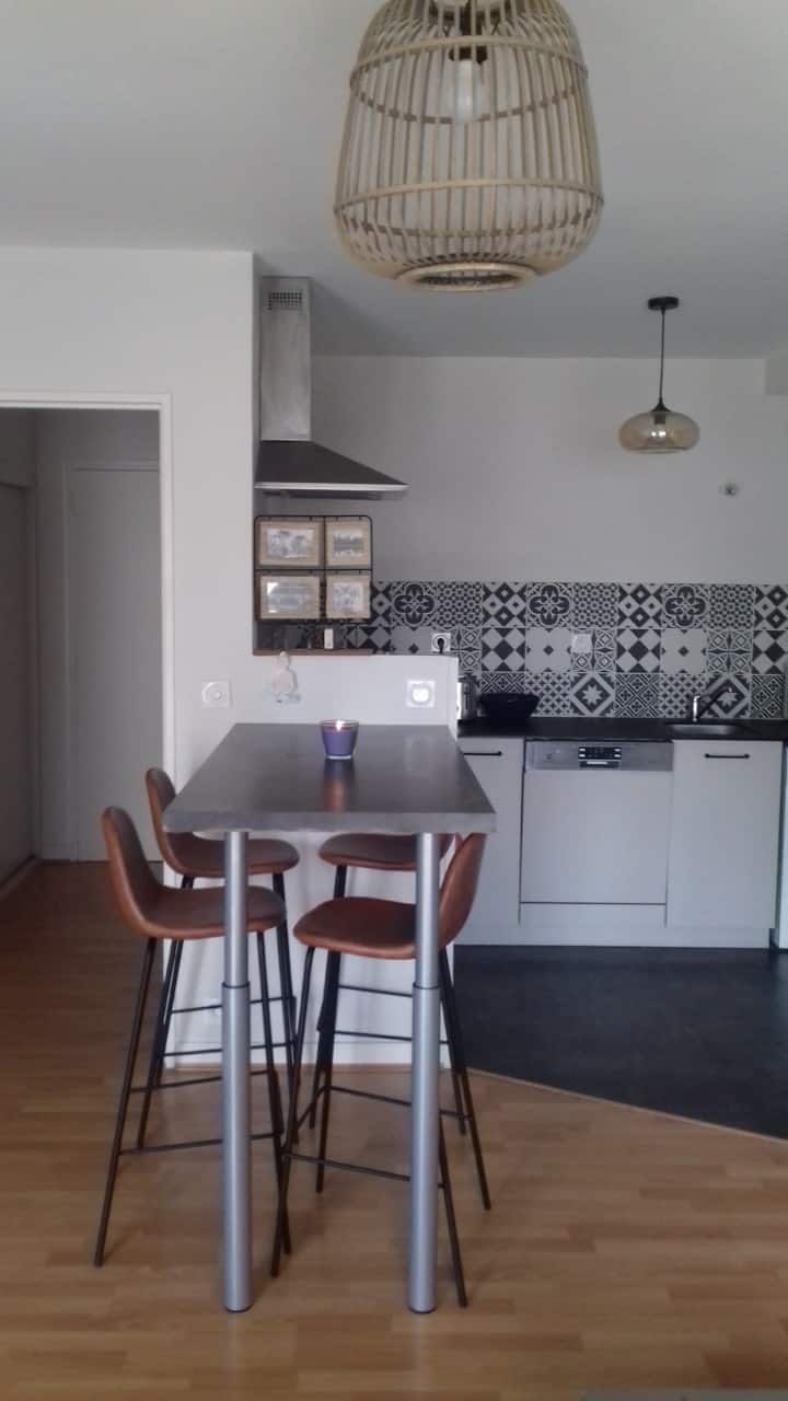 Location Appartement Centre Ville - Laval, France
