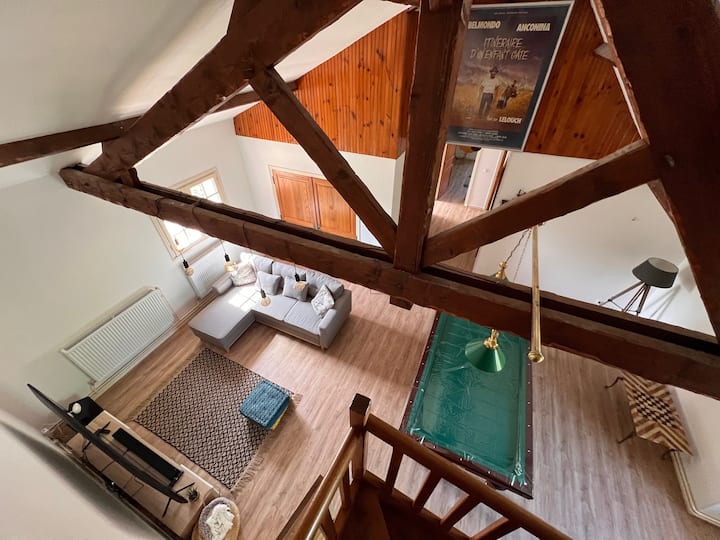 Le Poirier Au Roi, Villa, Piscine, Jacuzzi, ÉTang - Vierzon