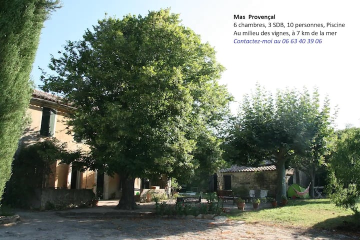 Castellet, Mas Provençal, Piscine Dans Les Vignes - Le Castellet