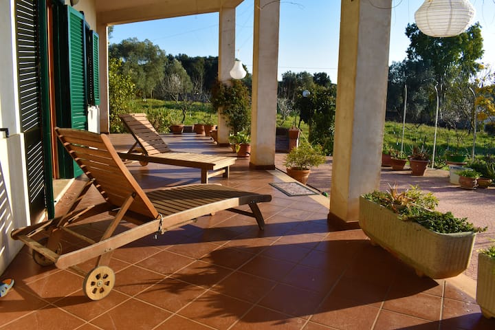 "Casa Mia" Mitten Im Grünen Olivenhain - Ceglie Messapica