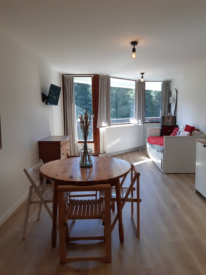 Chamrousse 1750 - Le Panoramic - Chamrousse