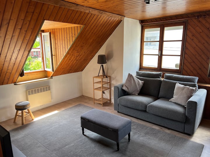 Top Floor Apartment With Mountain Views - Argelès-Gazost