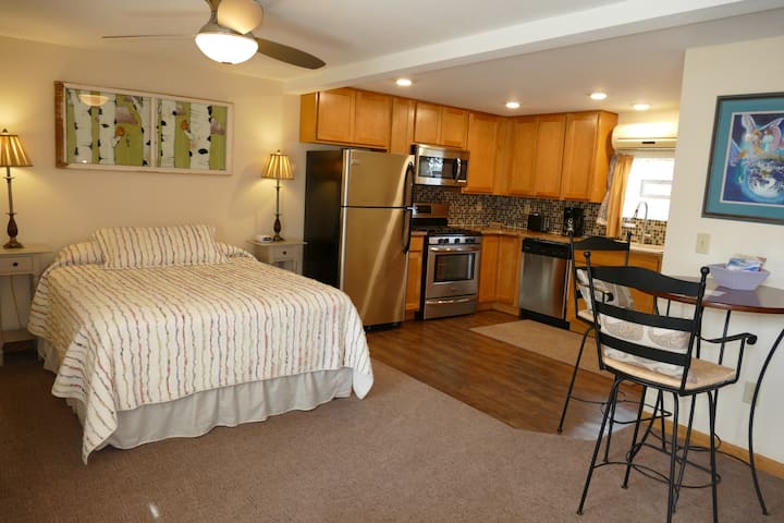 Walking Distance To Garden Of The Gods - Studio 1 - Manitou Springs, CO