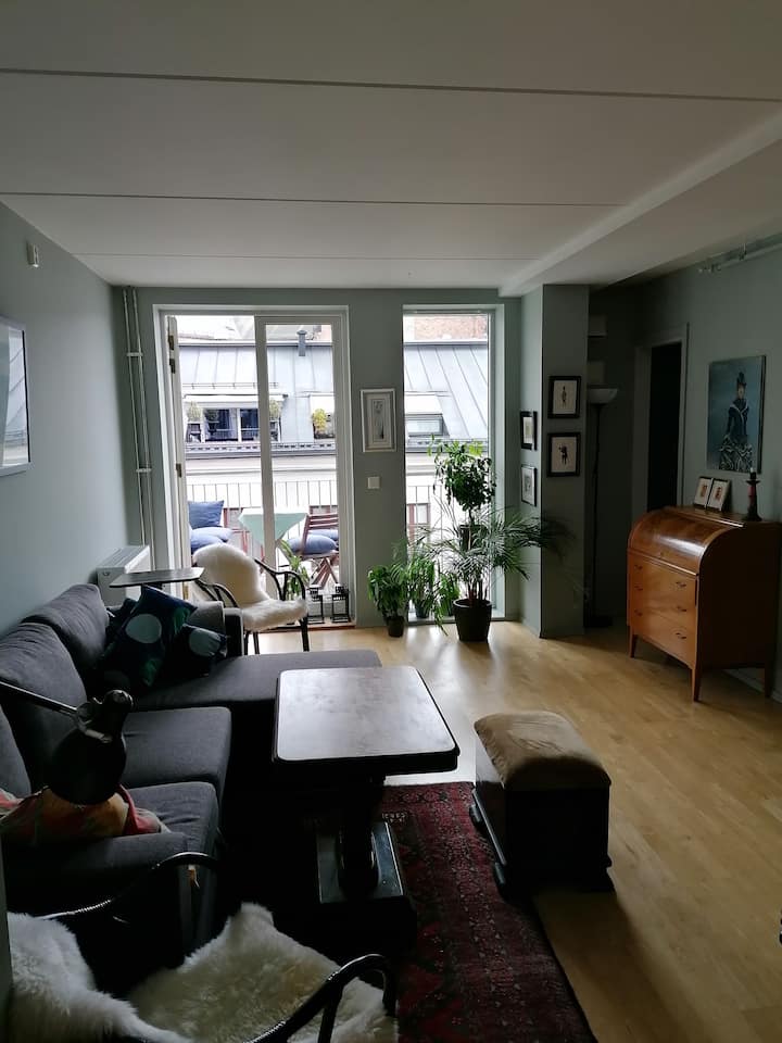 Attraktiv Leilighet På Gr.løkka - Oslo